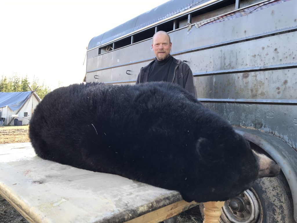 Terry Kaspers Big Black Bear May 16, 2017 on the skinning table - Ryk ...