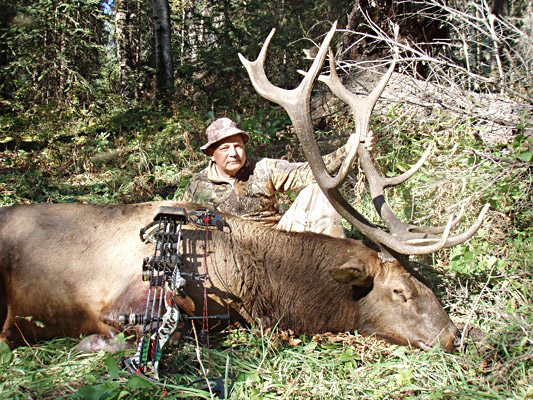 elk-canada - Ryk Visscher's Hunting Adventures